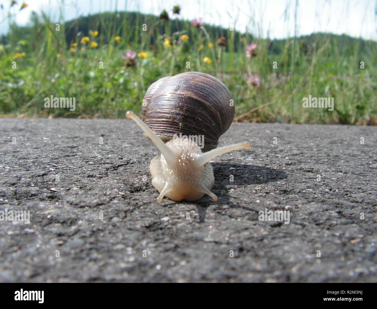 worm mail 1 Stock Photo - Alamy