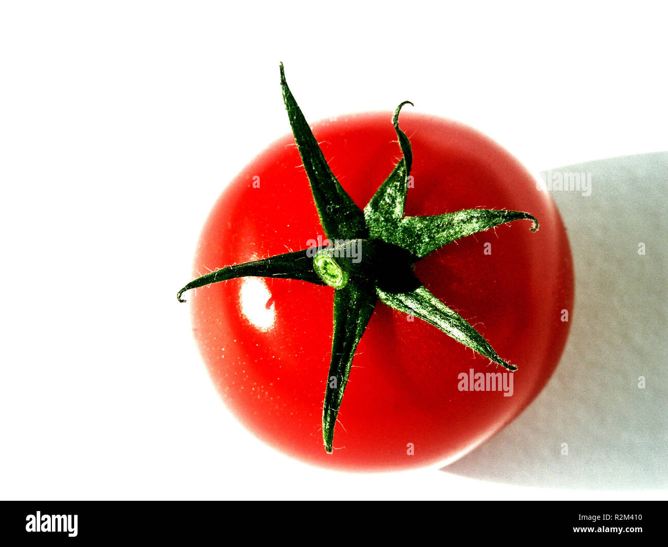 Tomate treulose hi-res stock photography and images - Alamy