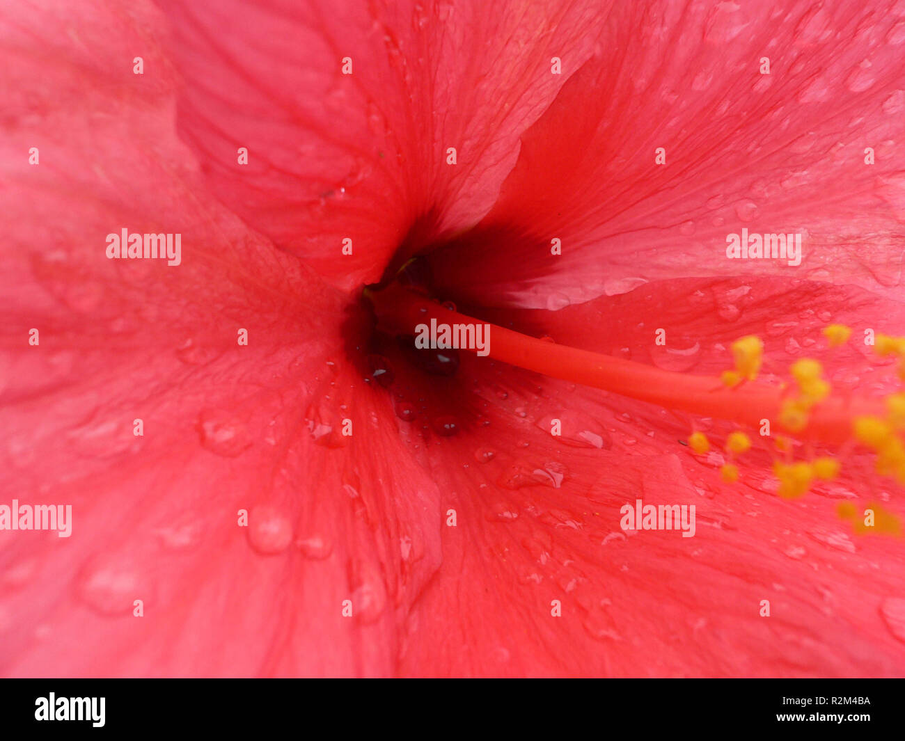 drop by drop Stock Photo - Alamy