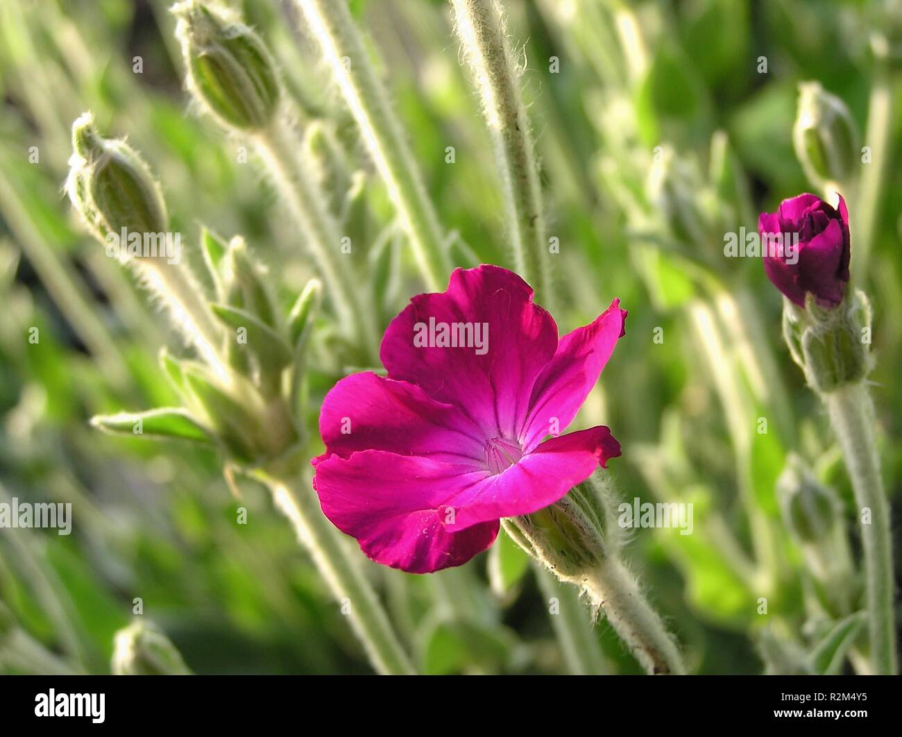 Farbklecks hi-res stock photography and images - Alamy