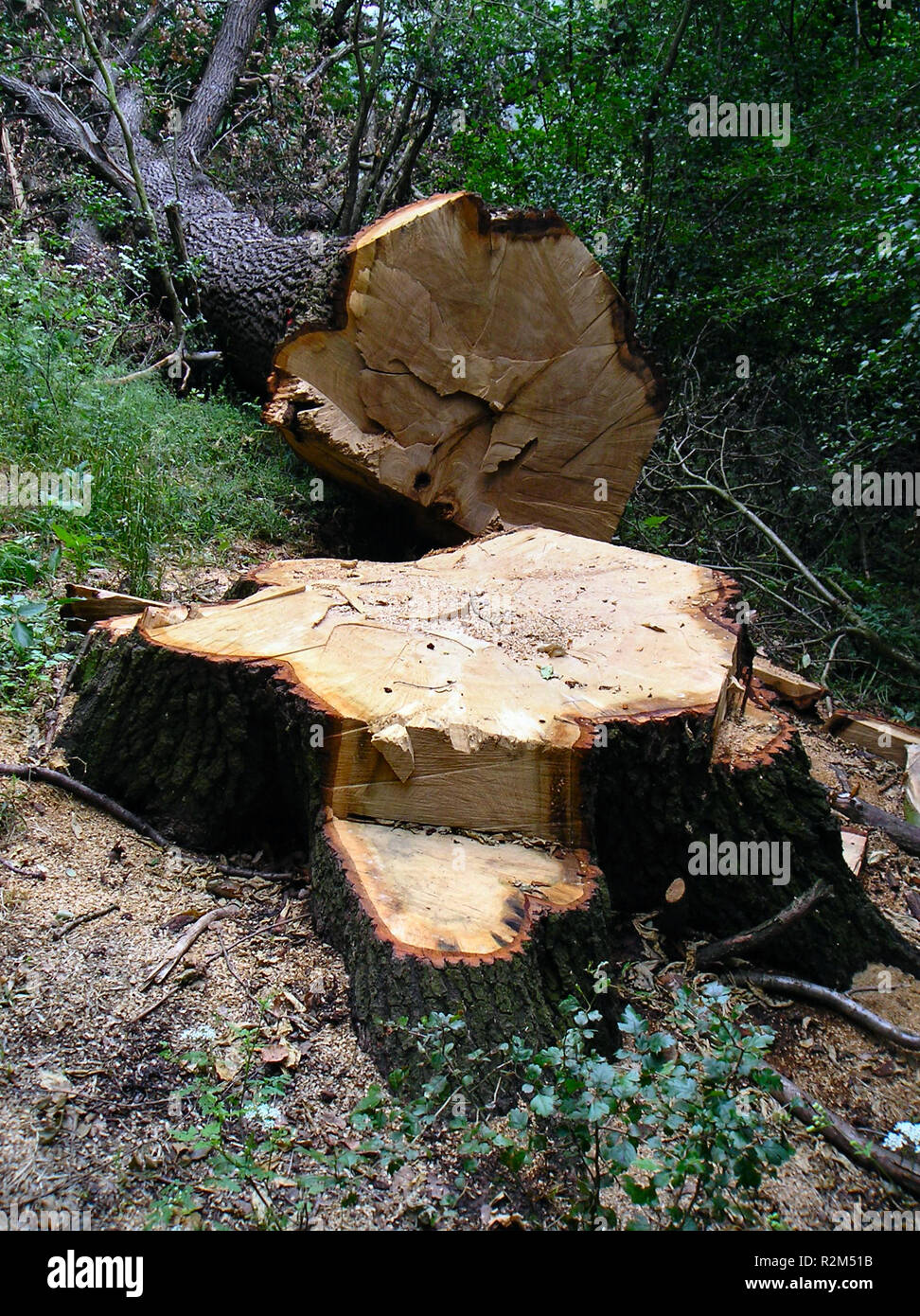 the giant falls Stock Photo - Alamy