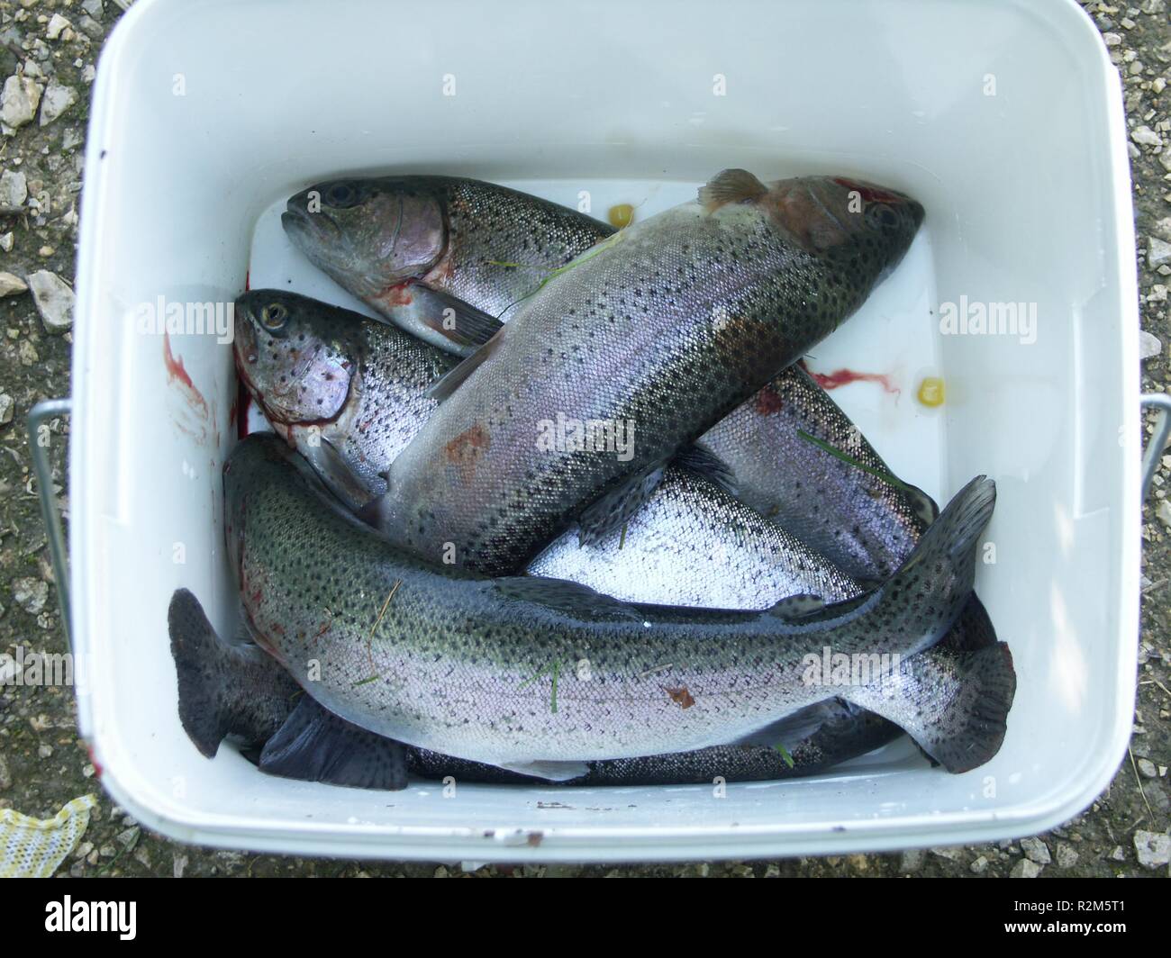 Good hook hi-res stock photography and images - Alamy