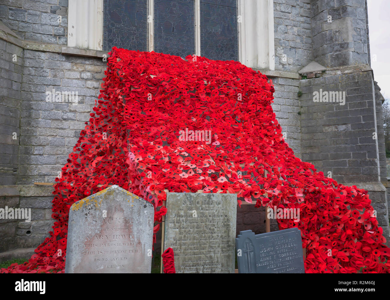 Poppy display at St Mary's Parish Church in Appledore, Devon Stock ...