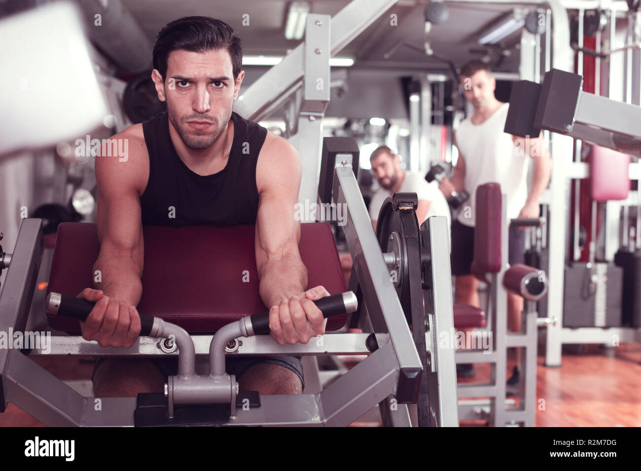 Muscular man doing strength training on fitness machine in modern gym ...
