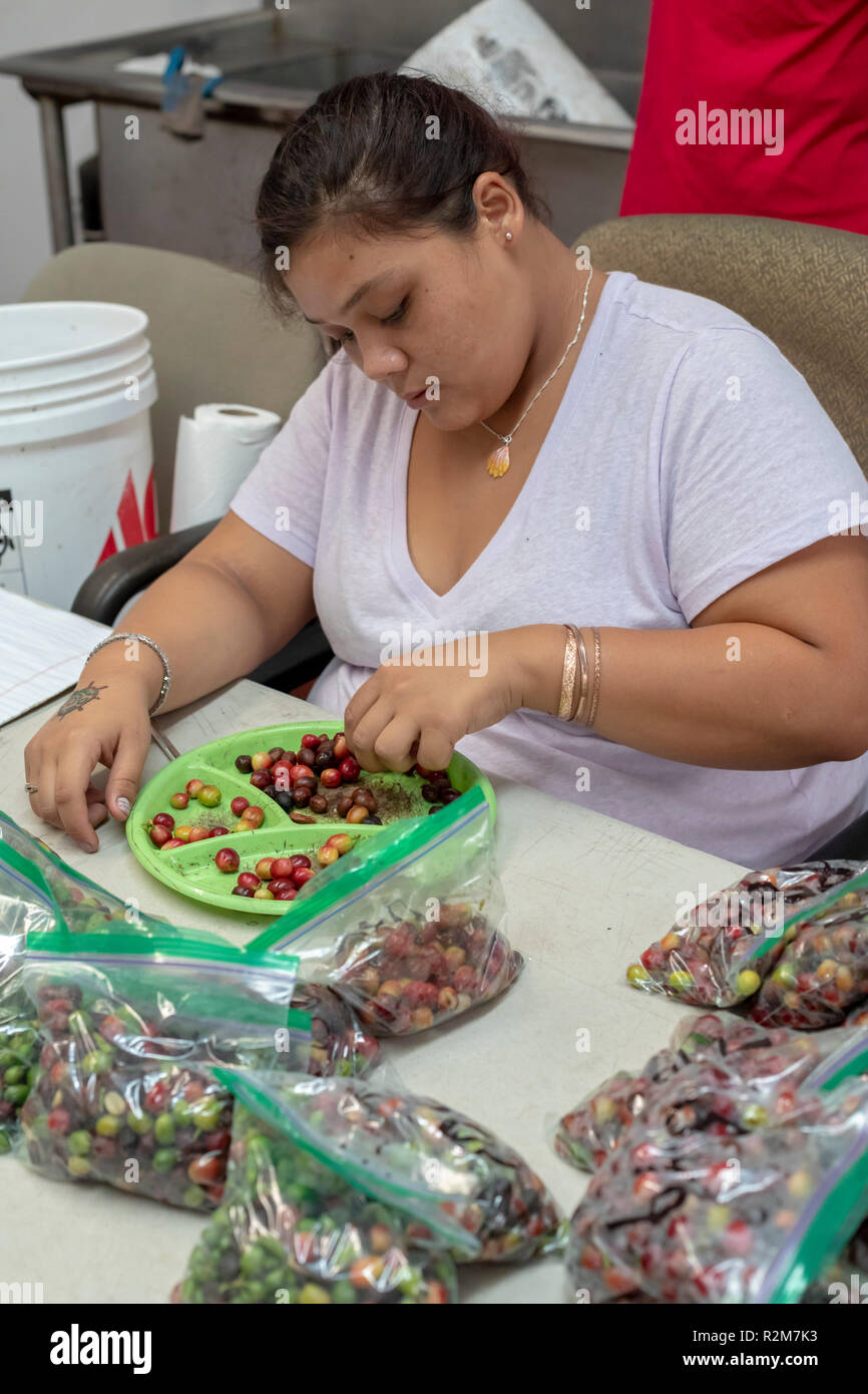 Qc quality control hi-res stock photography and images - Alamy