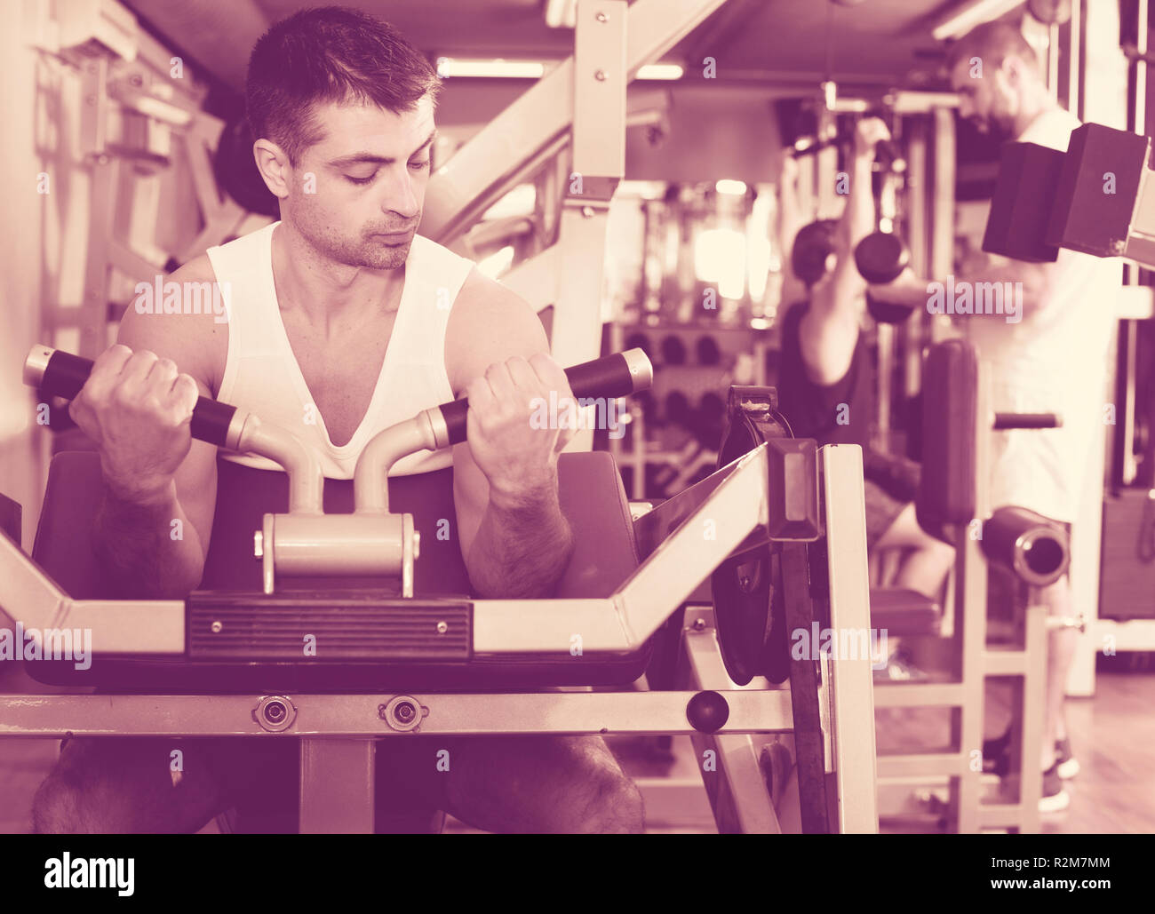 Sporty guy training muscles of arms and shoulder girdle on fitness ...