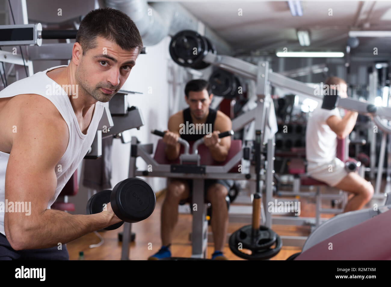 Concentrated sporty guy during workout in gym with dumbbells Stock ...