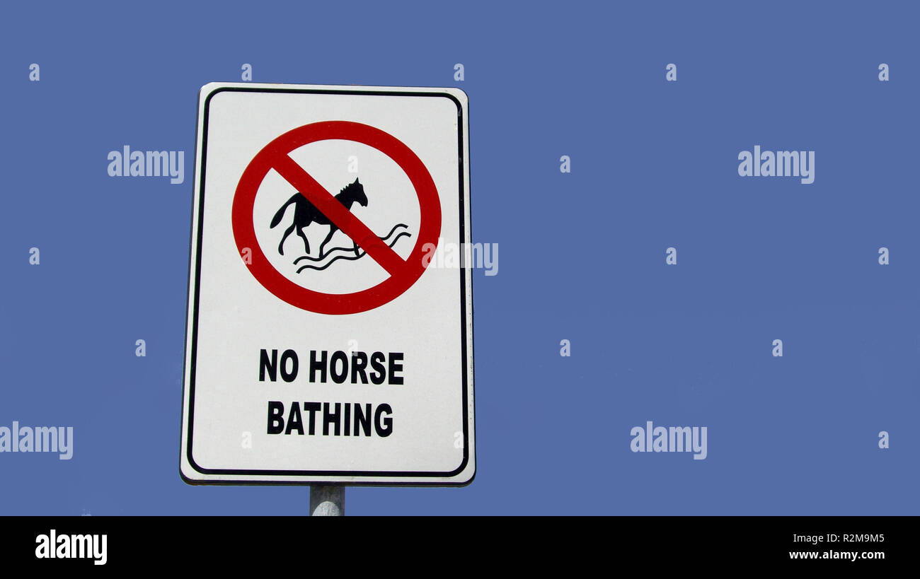 banned horse baden Stock Photo - Alamy
