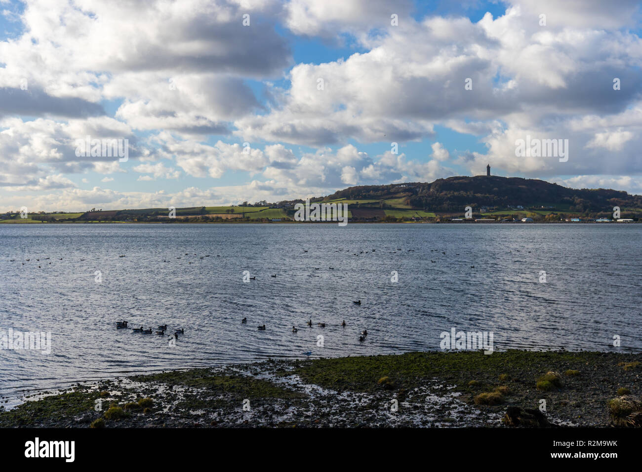 Scrabo Tower on Scrabo Hill seen over Strangford Lough, Newtownards ...