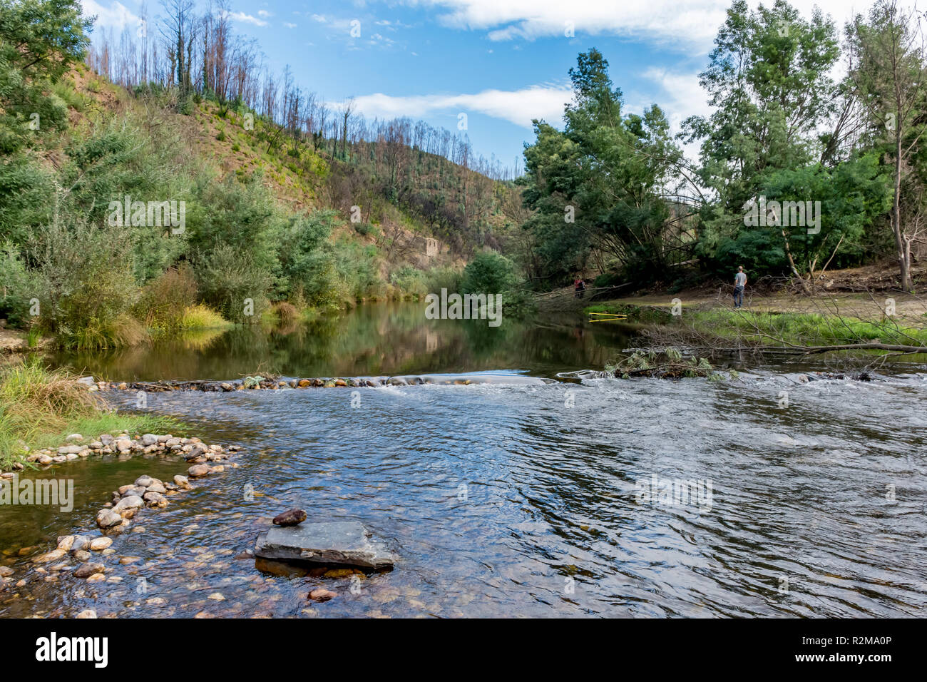 Upper tributary of the Rio Mondego, Portugal. Weir pool created by ...
