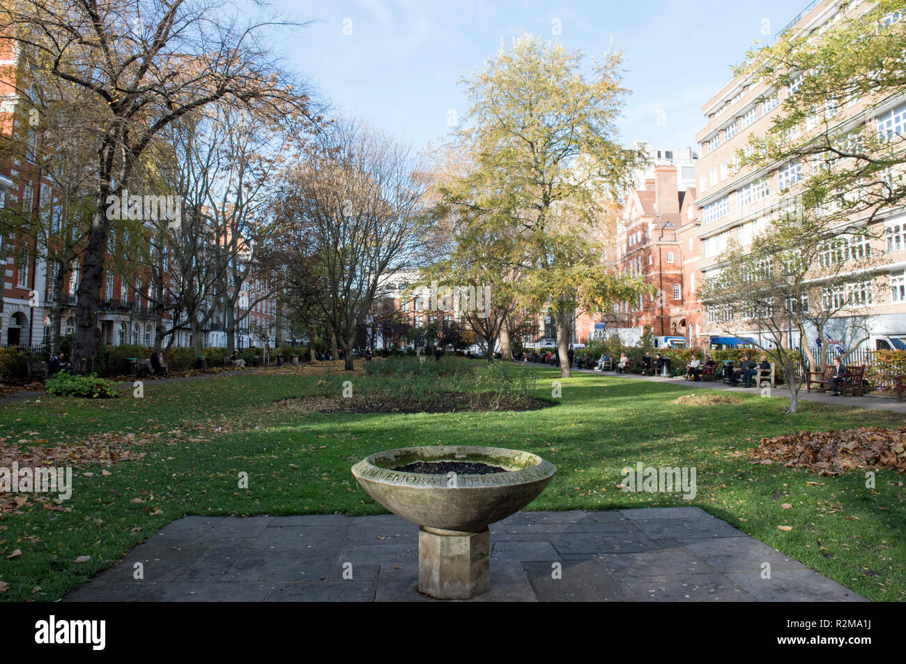 Queen Square garden in Autumn Bloomsbury London England Britain UK ...