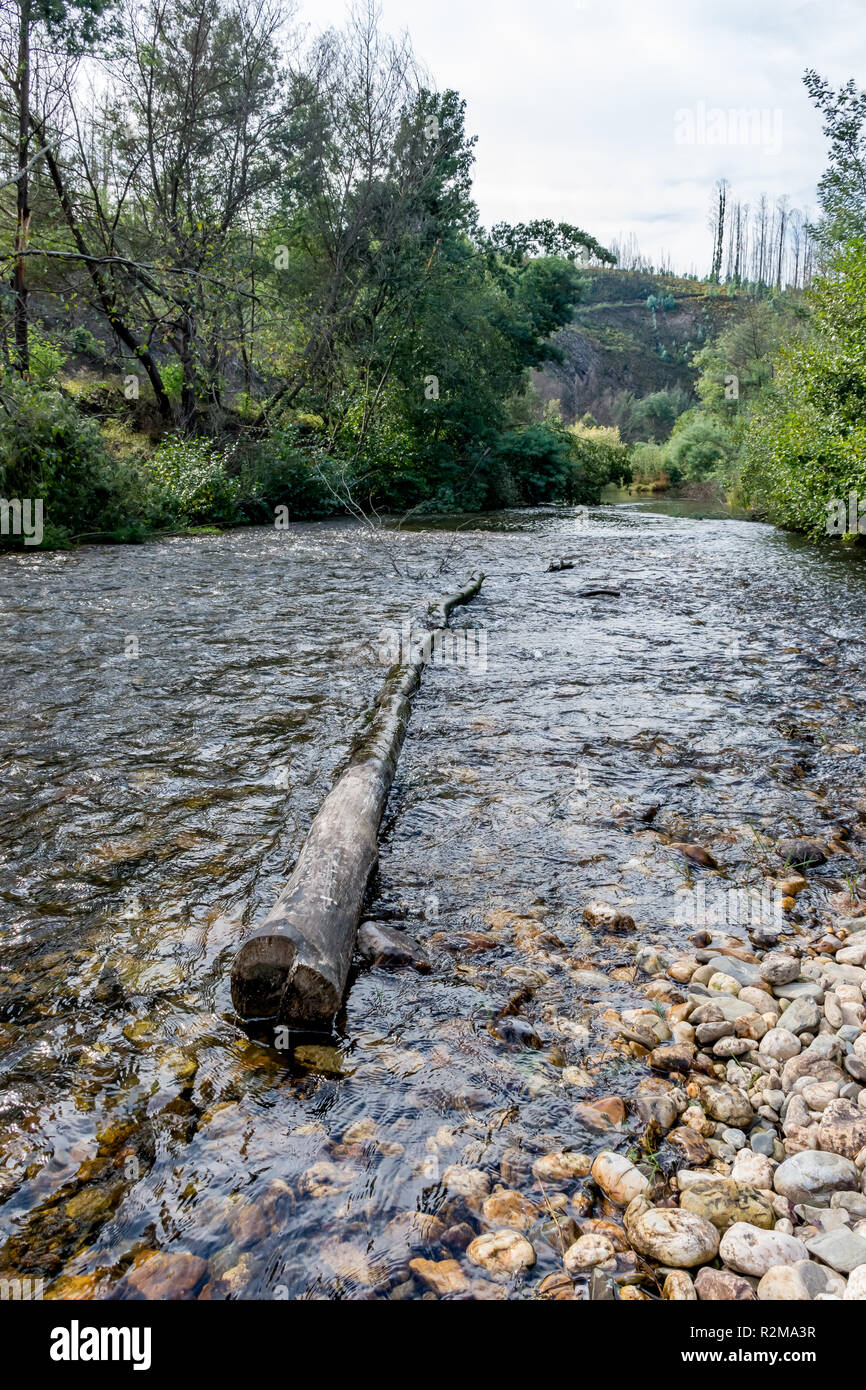 Old tree trunk lying in shallow river riffle - large woody debris Stock ...