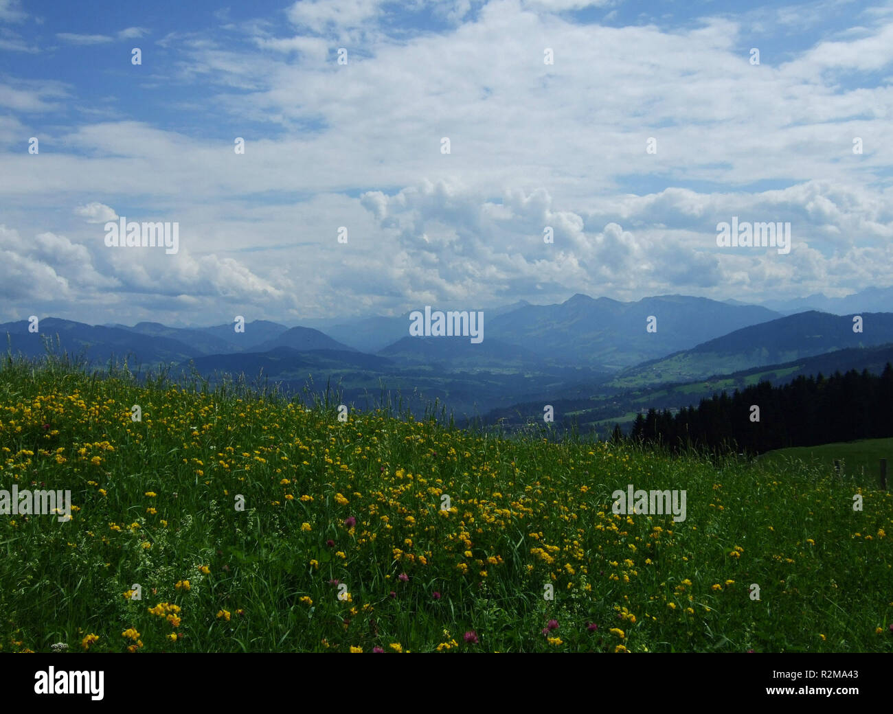 Lake constance from pfaender mountain hi-res stock photography and ...