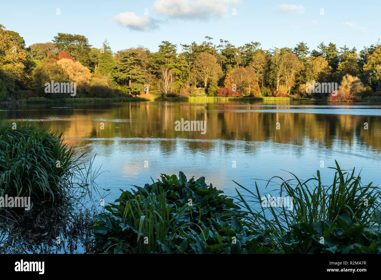 Mount stewart ireland autumn hi-res stock photography and images - Alamy