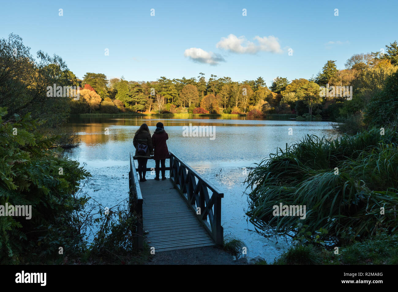 Newtownards in county down hi-res stock photography and images - Alamy