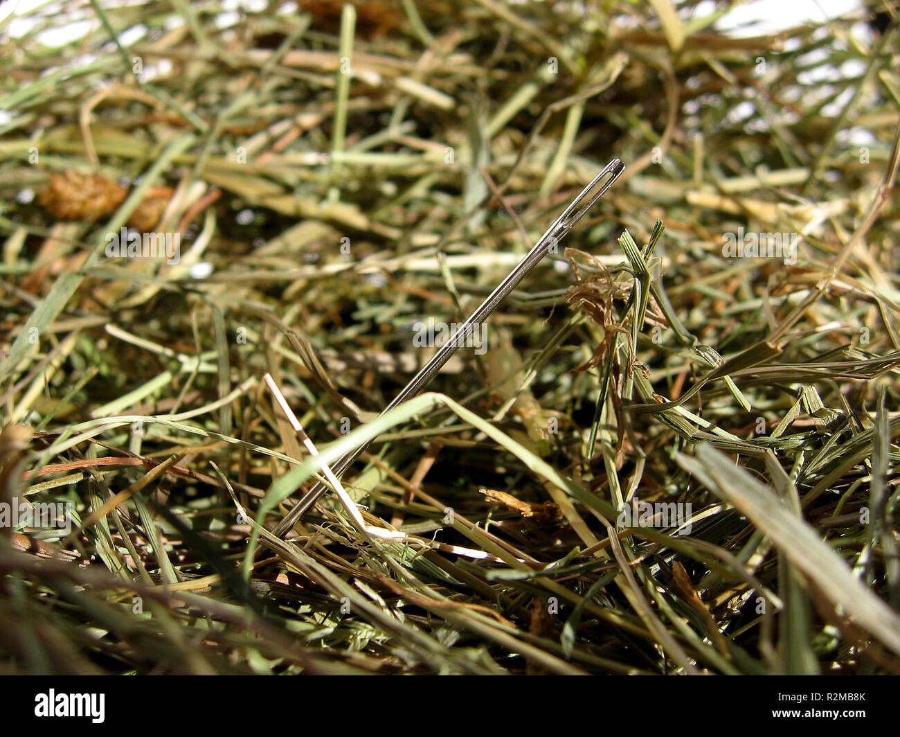 Hay needle hi-res stock photography and images - Alamy