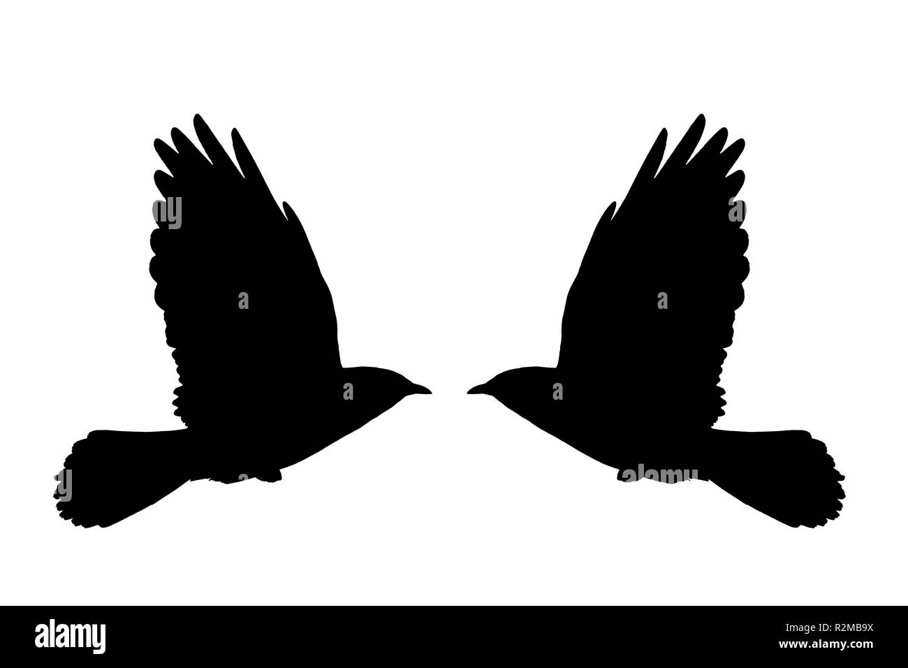 Signal feather Black and White Stock Photos & Images - Alamy