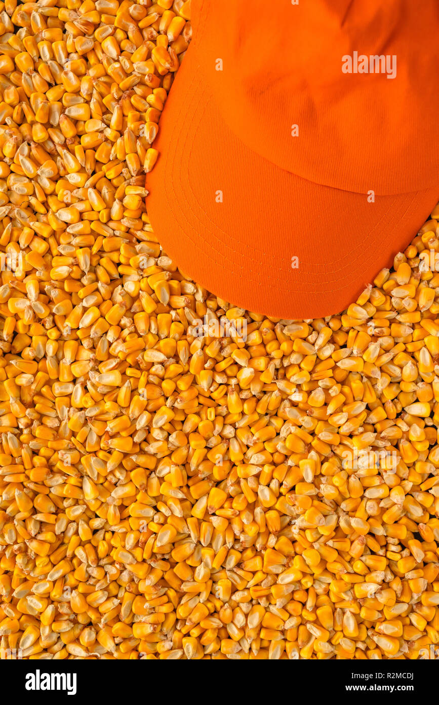 Orange kernels top hi-res stock photography and images - Alamy