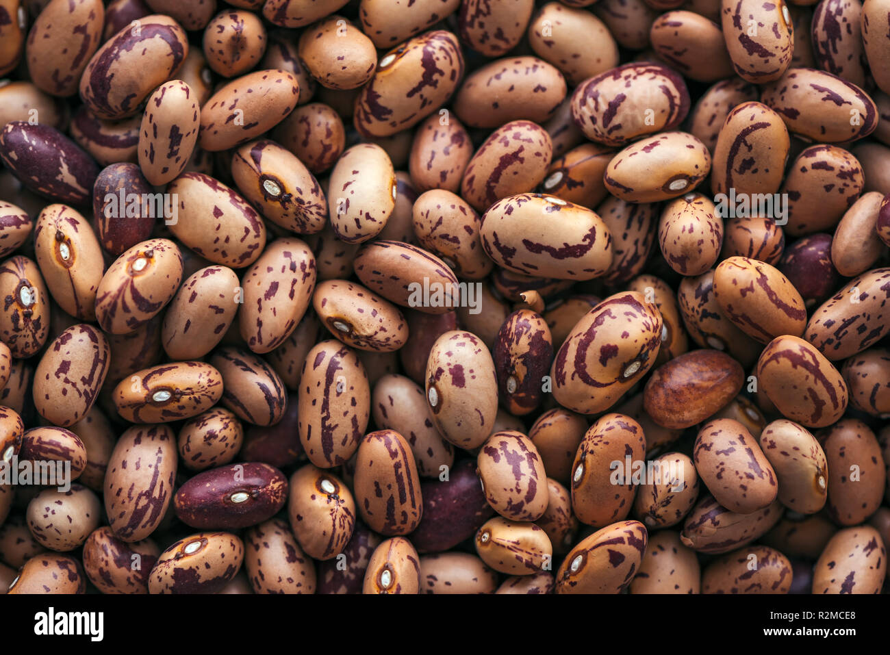 Pinto bean from above, top view of healthy legume beans as background ...