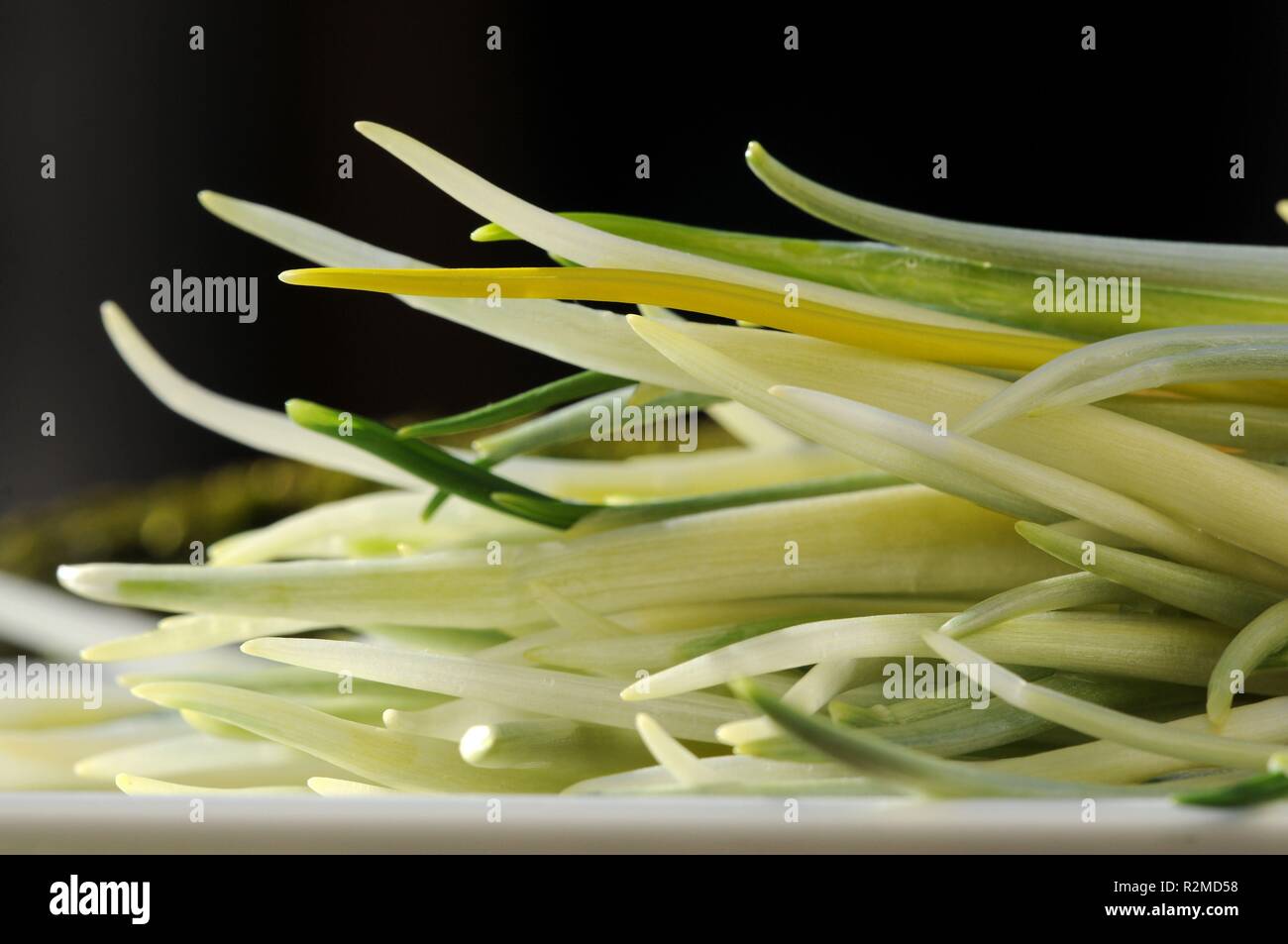 Ra nsel hi-res stock photography and images - Alamy