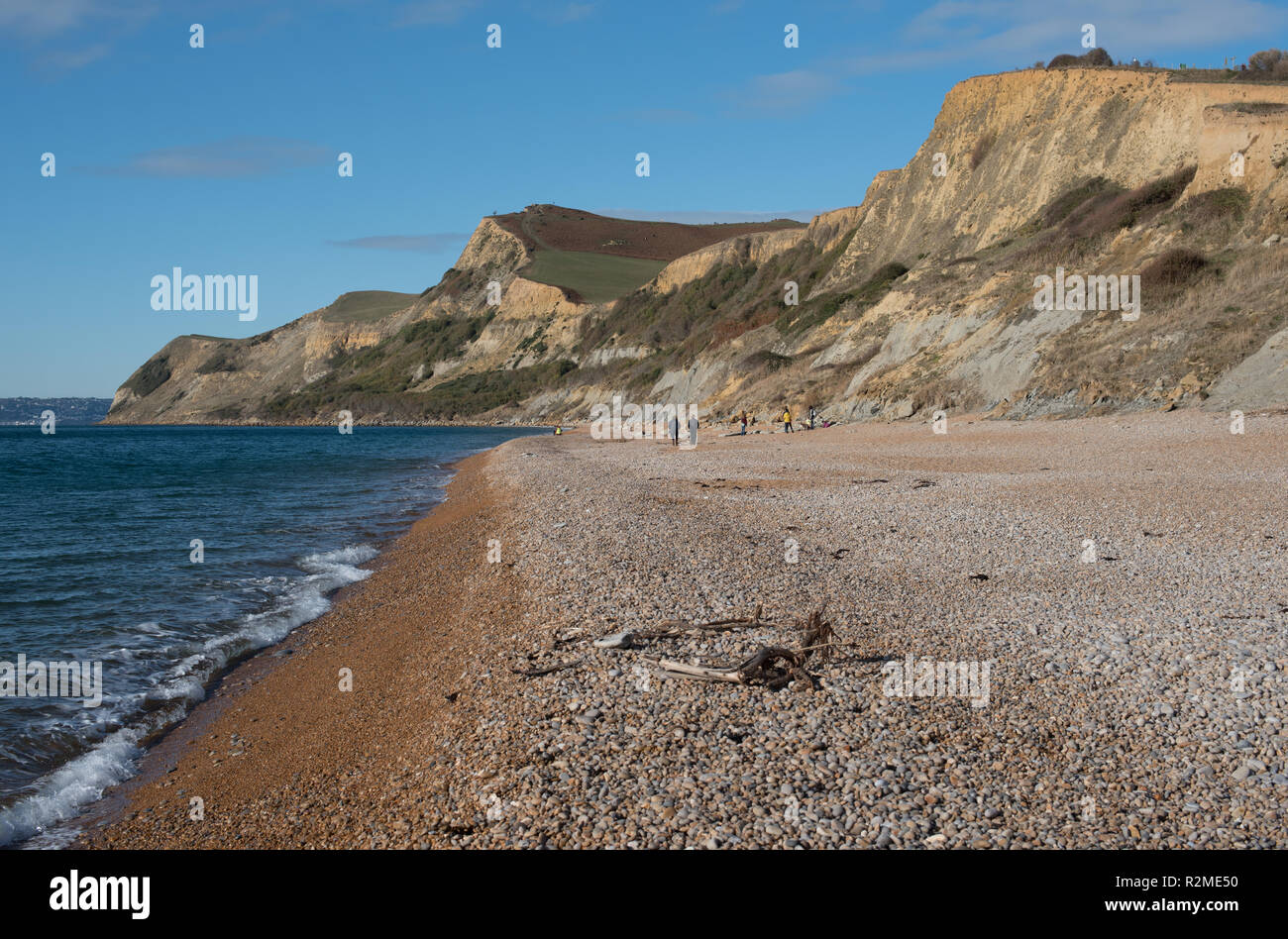 The Jurassic Coast near Eype, Bridport, Dorset Stock Photo - Alamy