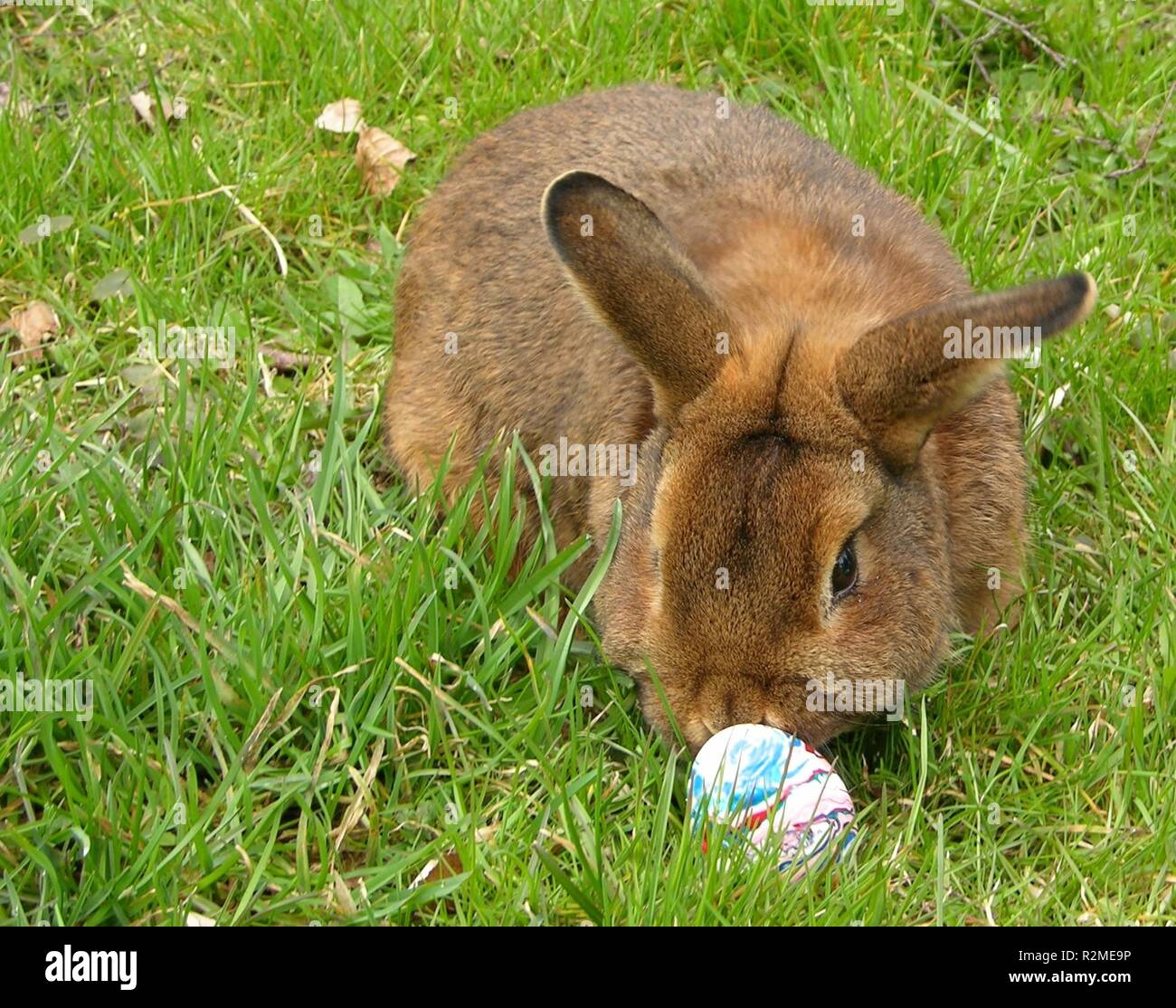 Easter 20 hi-res stock photography and images - Alamy