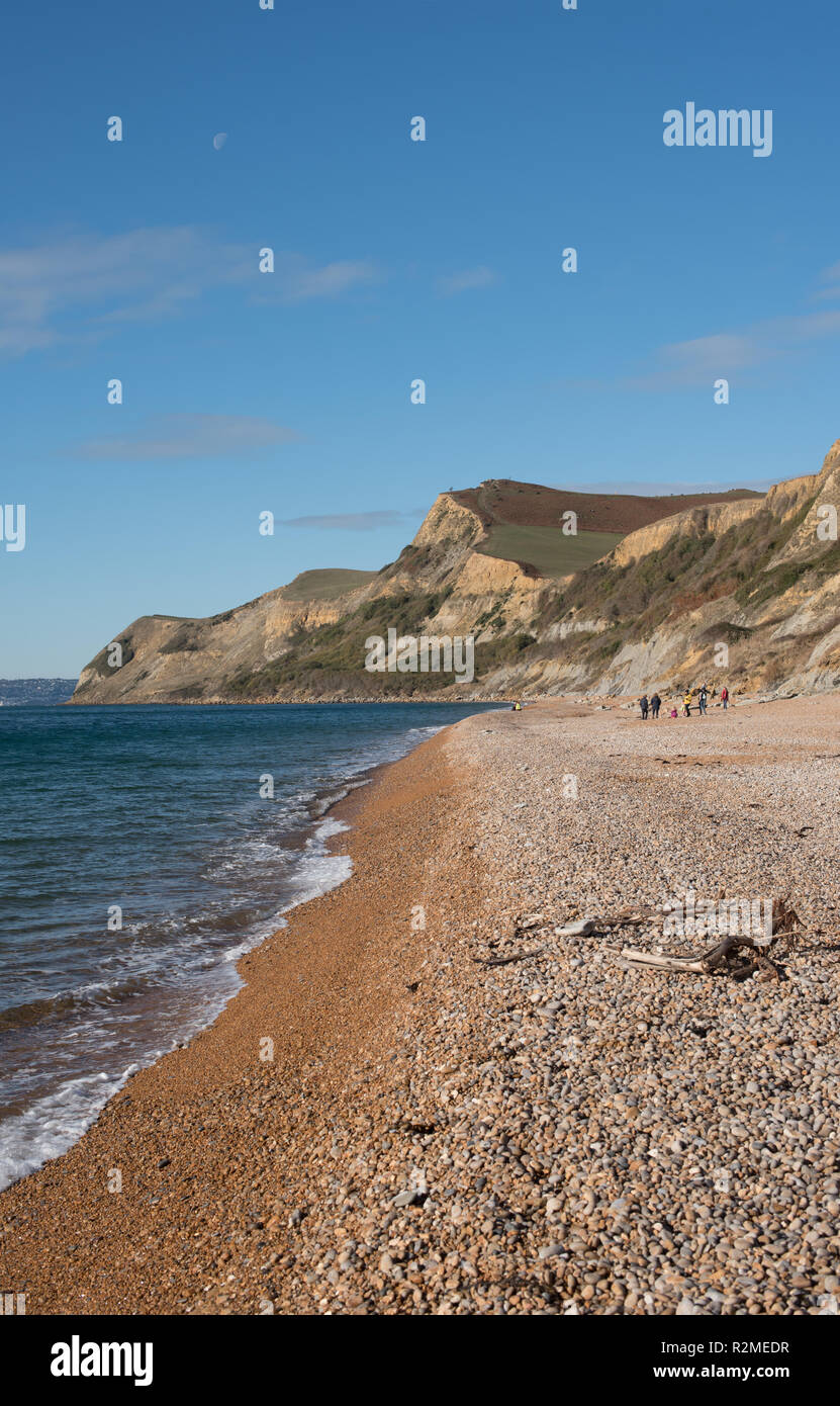 The Jurassic Coast near Eype, Bridport, Dorset Stock Photo - Alamy