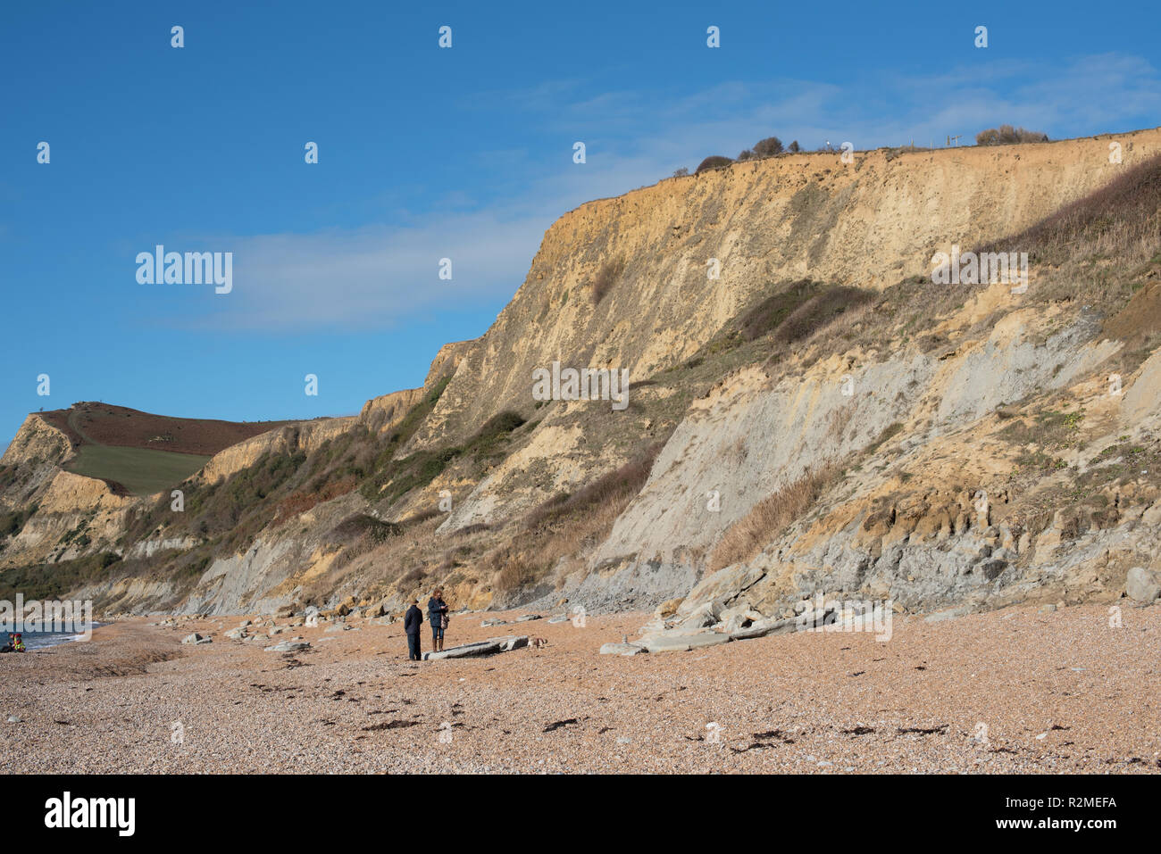 The Jurassic Coast near Eype, Bridport, Dorset Stock Photo - Alamy
