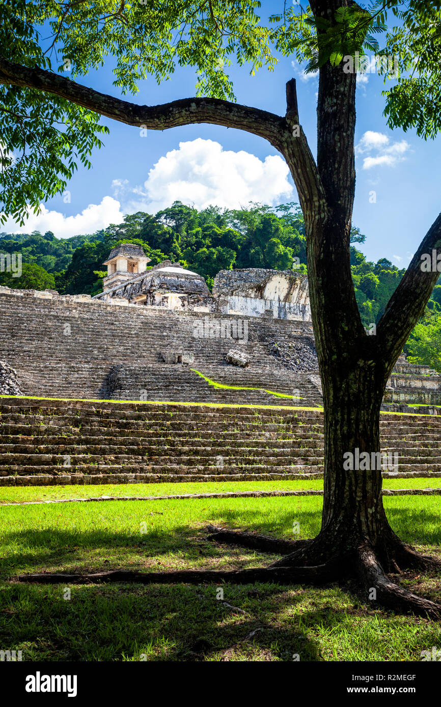 Palenque archaeology mexico chiapas hi-res stock photography and images ...