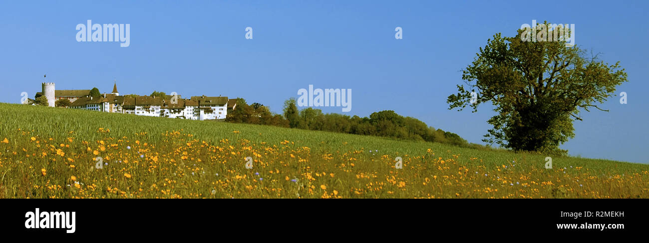 Regensberg castle hi-res stock photography and images - Alamy