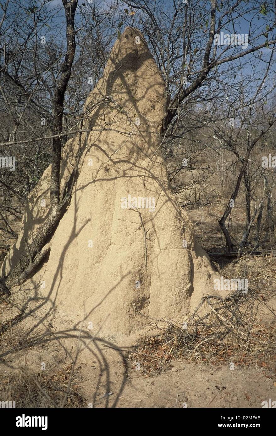 Jagdreservat hi-res stock photography and images - Alamy