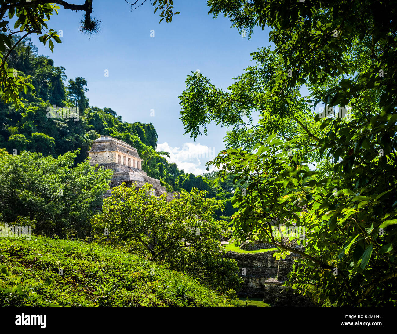 The Temple of Inscriptions surrounded by jungle at the Palenque Ruins ...