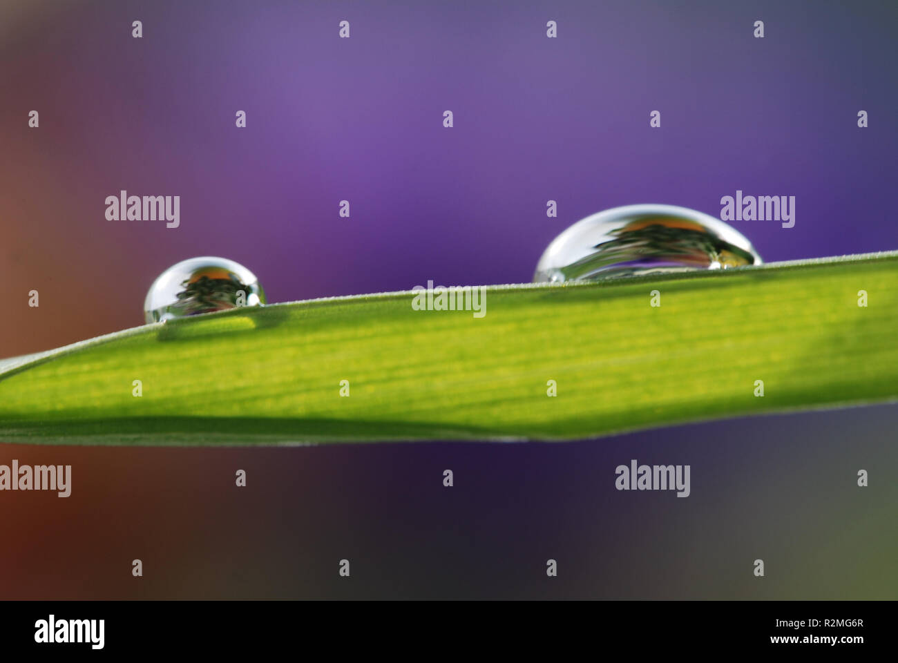 Colored slides hi-res stock photography and images - Alamy