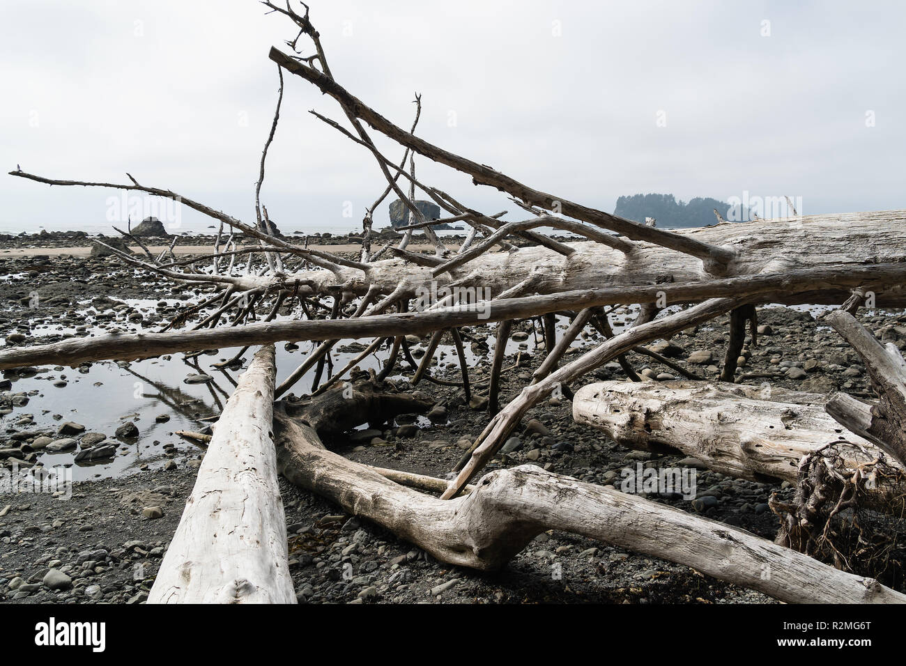 Impassable hiking trail hi-res stock photography and images - Alamy