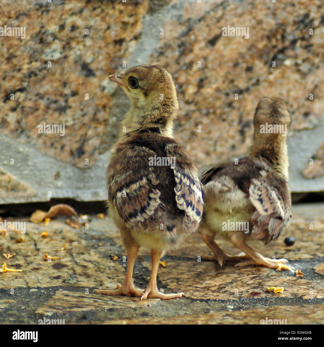 Ken grieve hi-res stock photography and images - Alamy