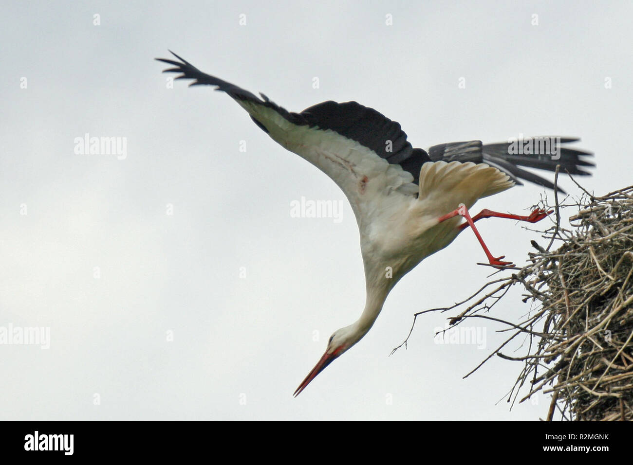 Rev up hi-res stock photography and images - Alamy