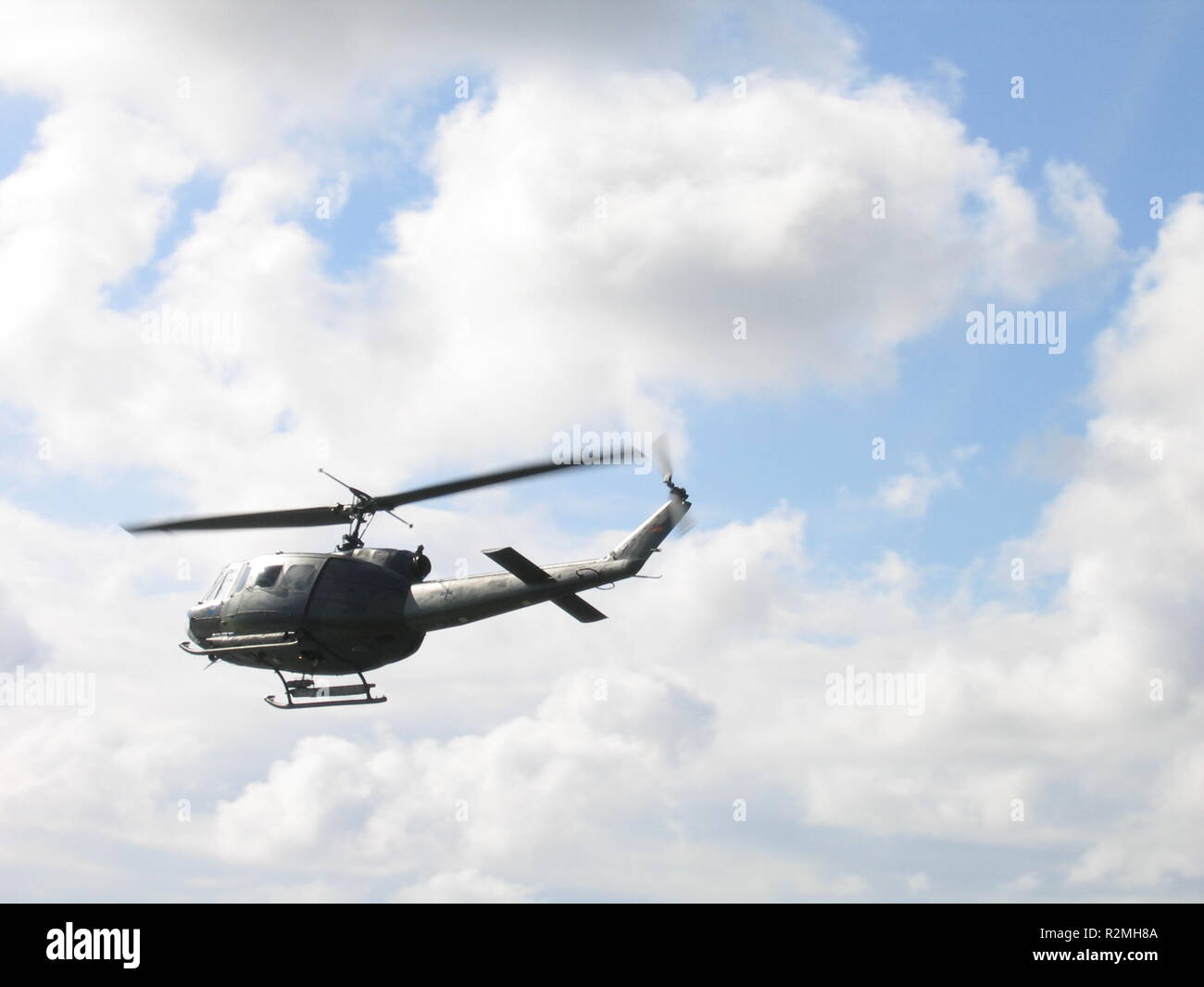Sealynx hi-res stock photography and images - Alamy