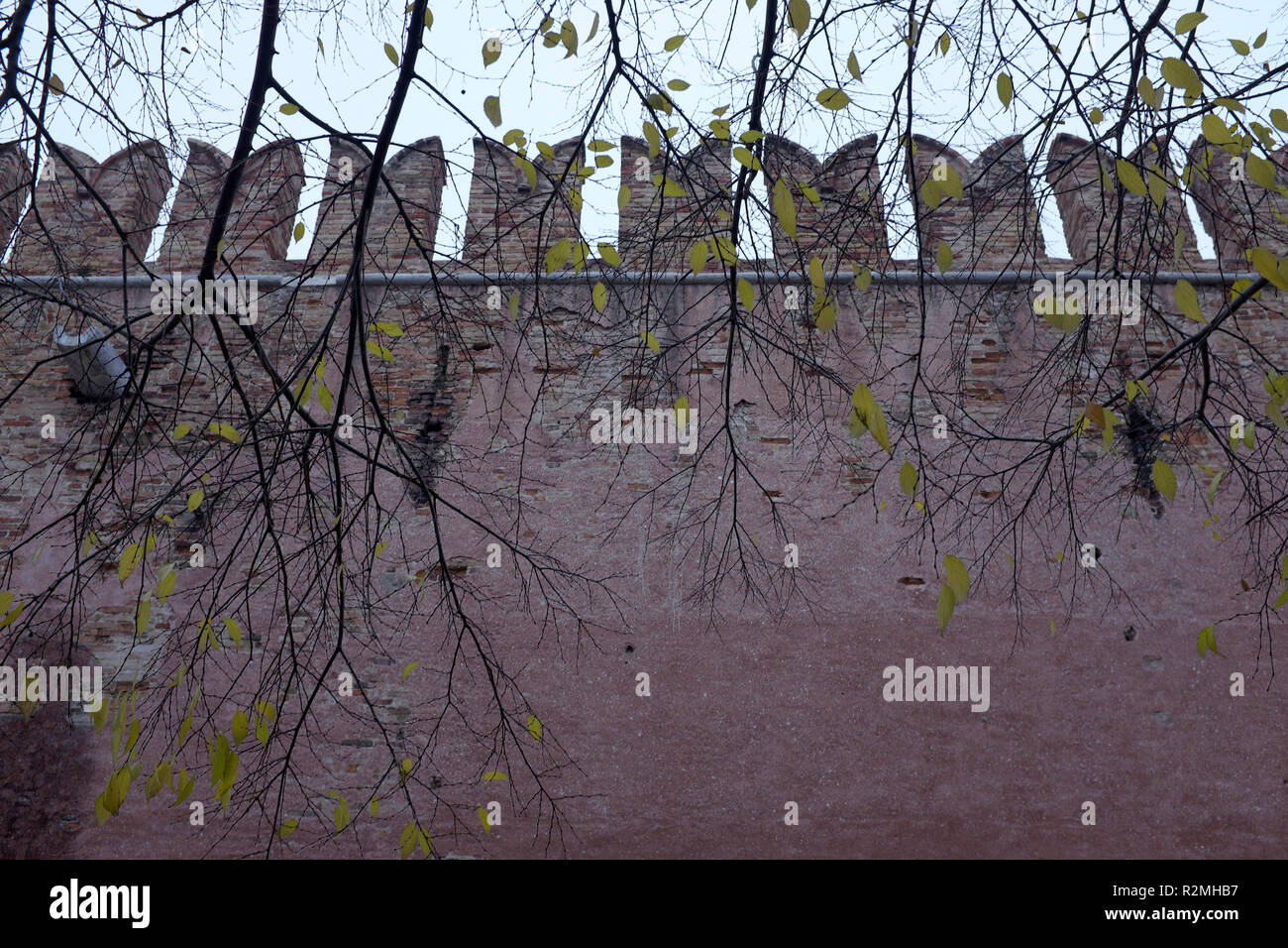 Arsenale area in Venice, wall, tree, branches Stock Photo - Alamy