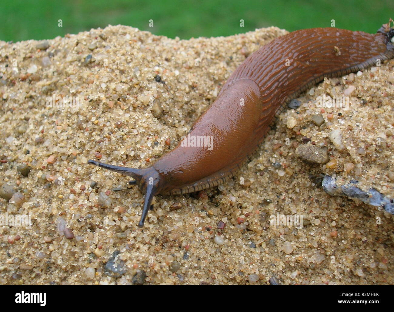 Naturist naturism hi-res stock photography and images - Alamy