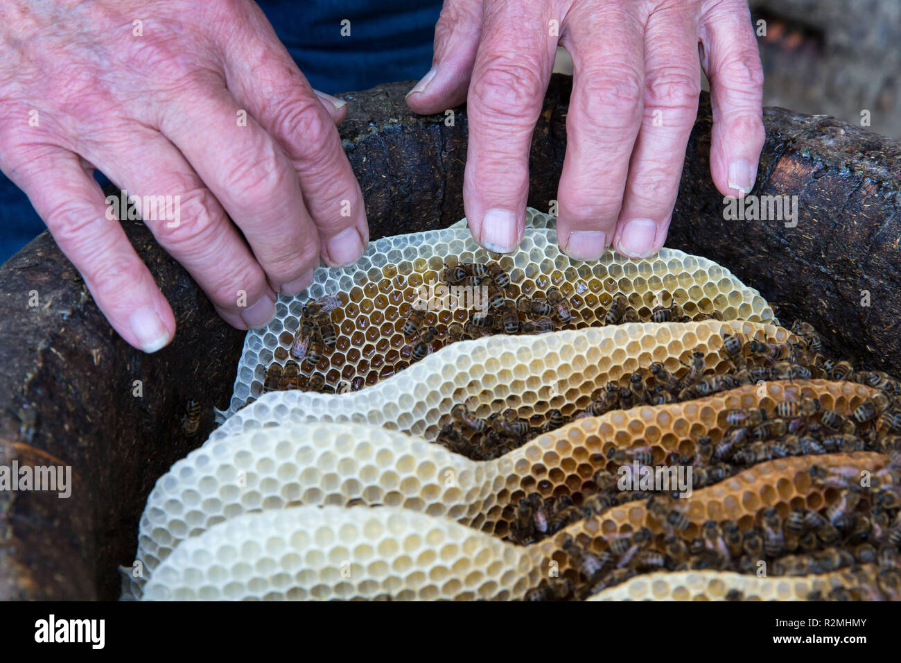 Wicker beehive hi-res stock photography and images - Alamy
