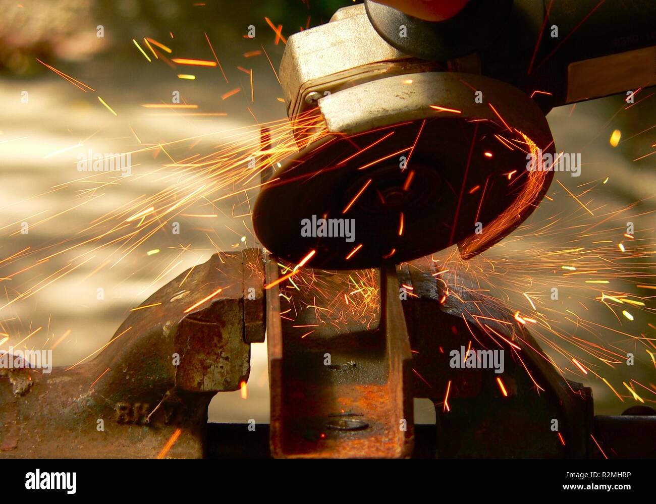 Ible hi-res stock photography and images - Alamy