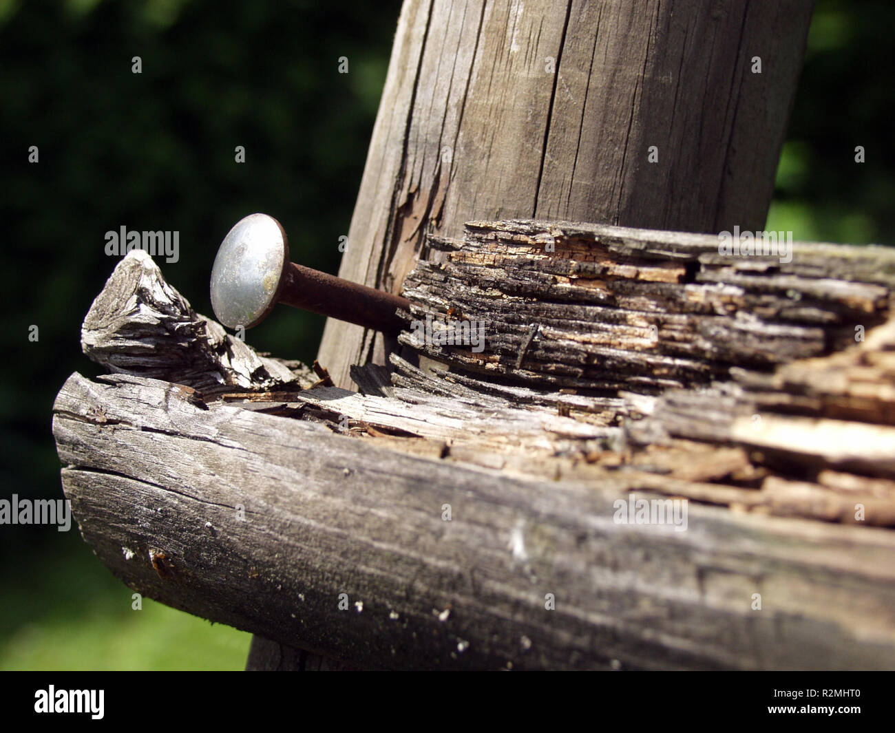 Rotten beam hi-res stock photography and images - Alamy