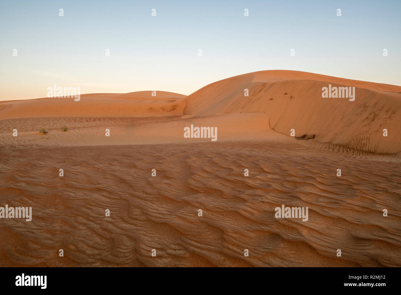 Sand dunes in Sharqiya Sands, also known as Wahiba Sands, Oman Stock ...