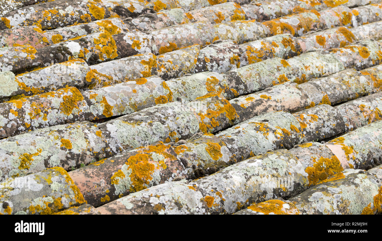 Old shingles on an old roof Stock Photo - Alamy