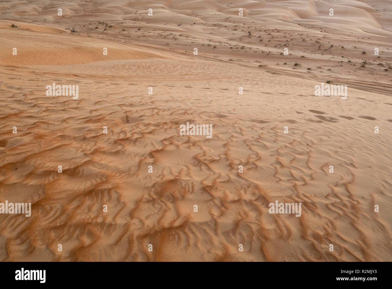 Sand dunes in Sharqiya Sands, also known as Wahiba Sands, Oman Stock ...