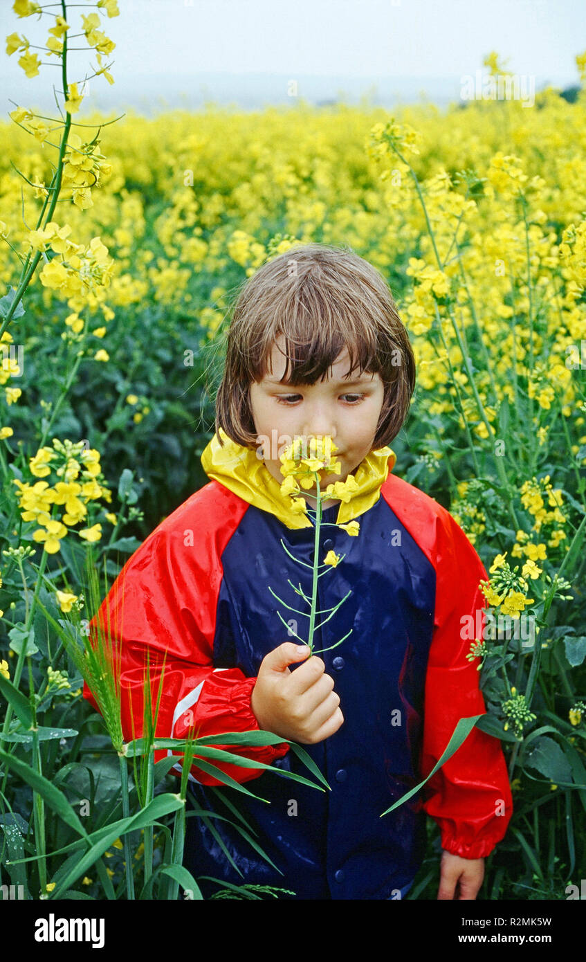 Series, Child, Growing up, Development, Generation, Future Stock Photo ...