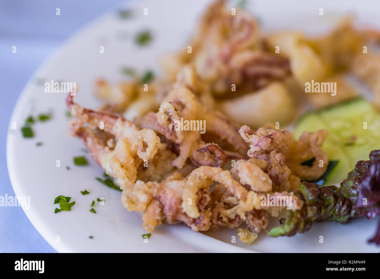 Traditional greek squid fried in plate Stock Photo - Alamy