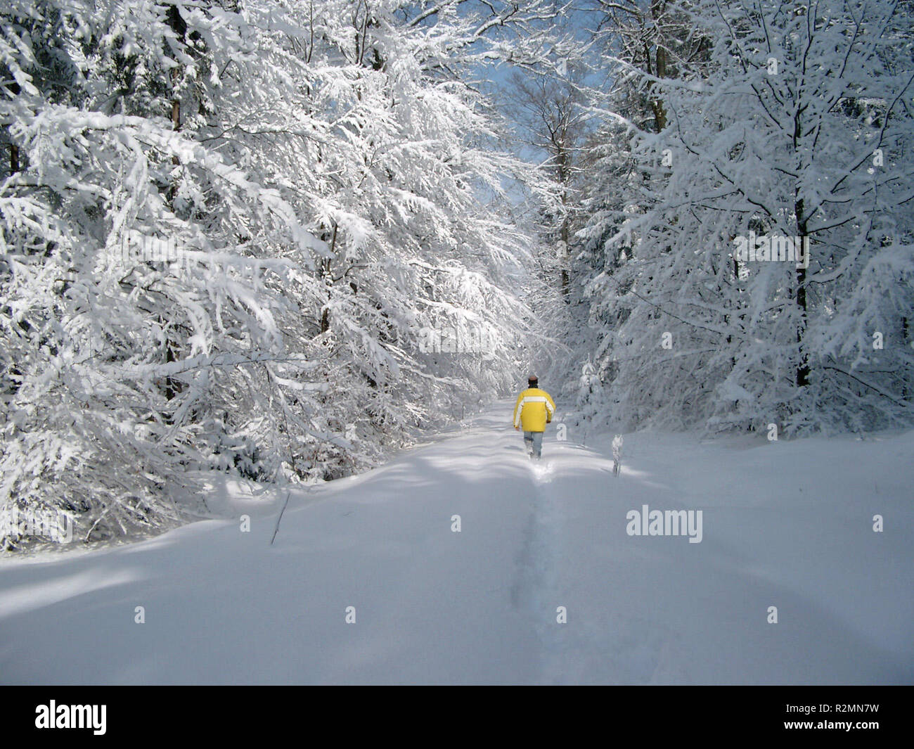 Schneewanderung hi-res stock photography and images - Alamy