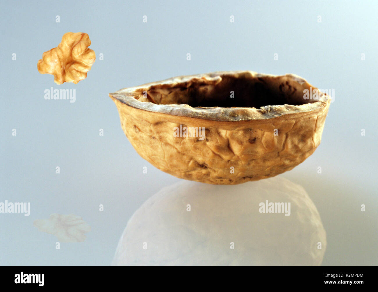 Walnut Shell Empty High Resolution Stock Photography and Images - Alamy