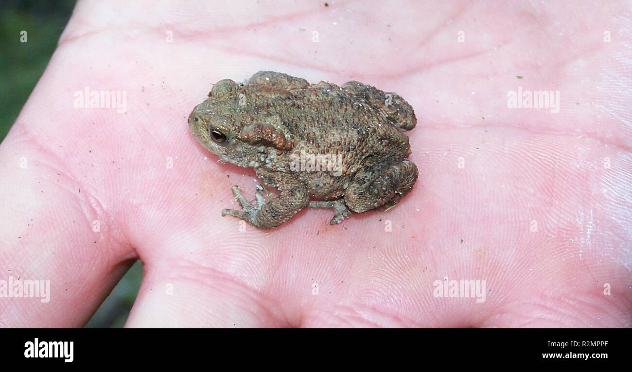 Dra sensekret hi-res stock photography and images - Alamy